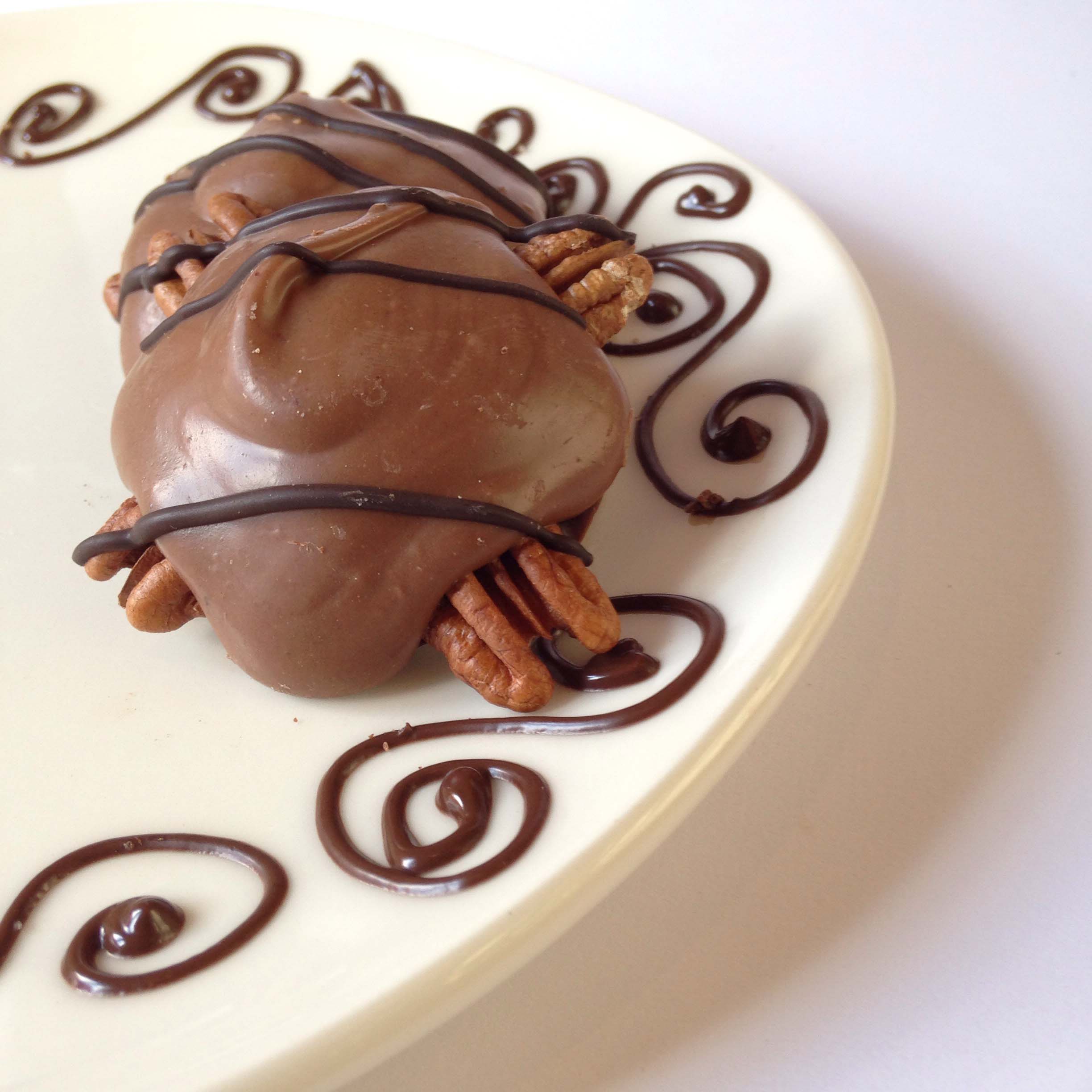 Tortuga de Chocolate con Leche - Mexican Gourmet Chocolate